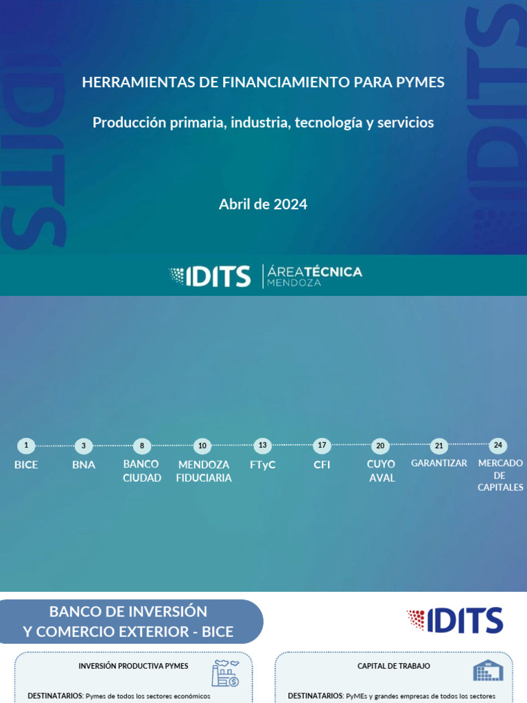 IDITS | PDF | Pequeñas y medianas empresas | Business
