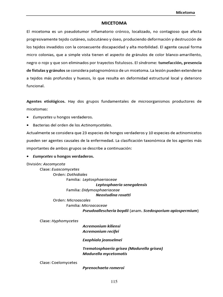 Micetoma: Causas, Síntomas y Epidemiología | PDF | Biología ...