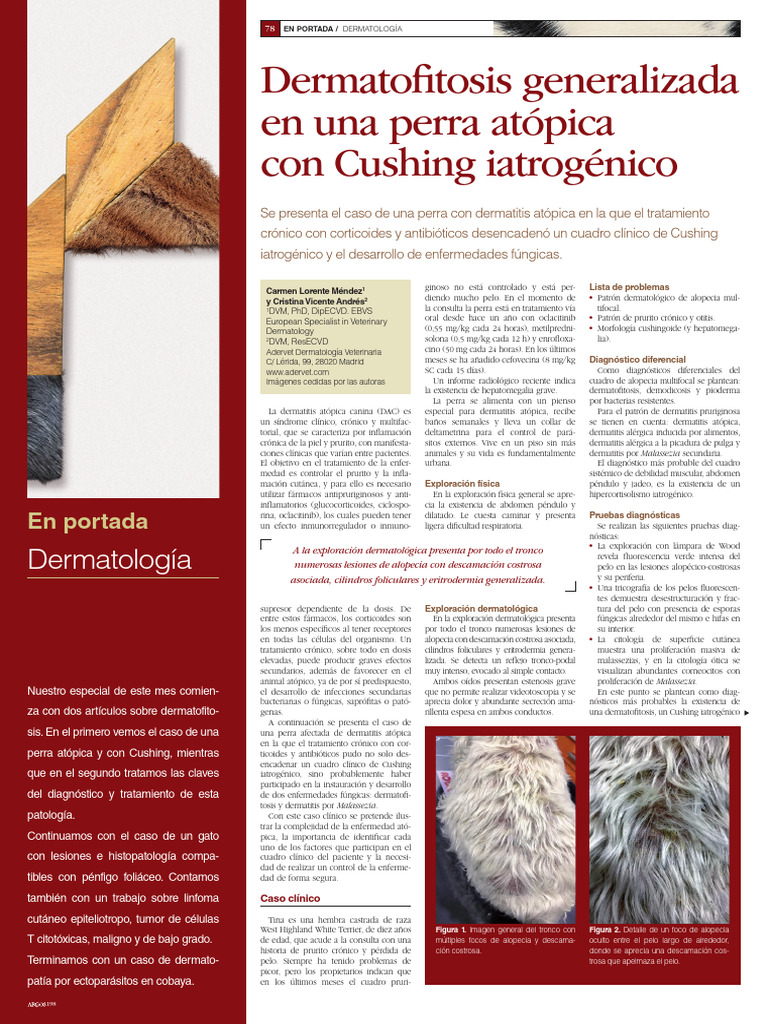 Dermato 2 | PDF | Medicina CLINICA | Especialidades Medicas