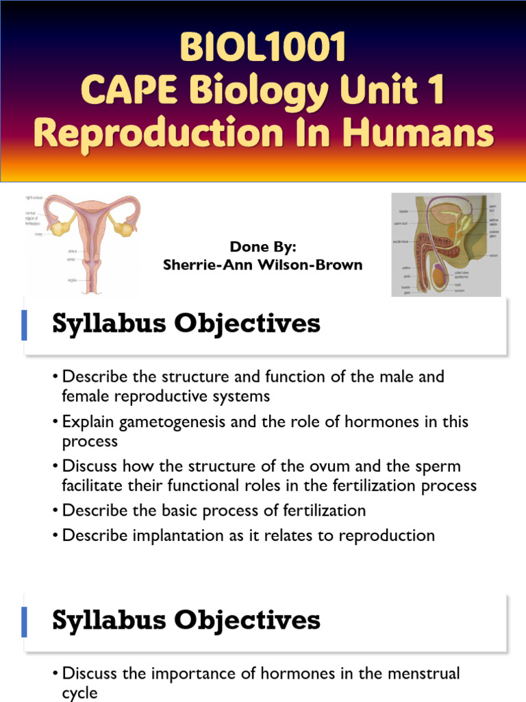 Human Reproduction Overview | PDF | Menstrual Cycle | Luteinizing Hormone