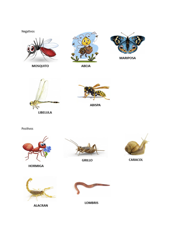 Insectos: Negativos y Positivos | PDF