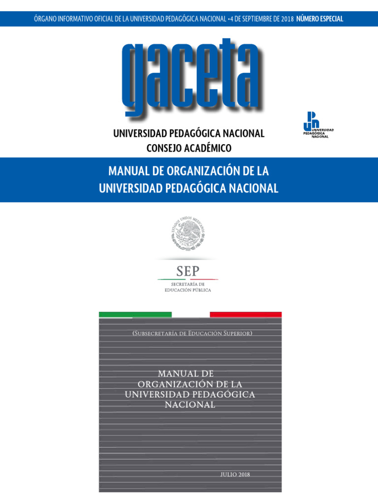 Manual de Organizacion | PDF