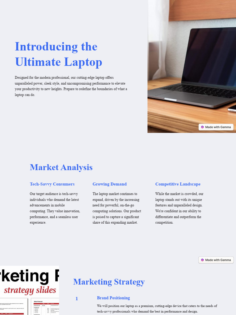 Premium Laptop for Tech-Savvy Professionals | PDF | Laptop | Target ...