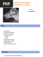 Radiographie de la cheville et du pied | PDF | Pied | Système squelettique