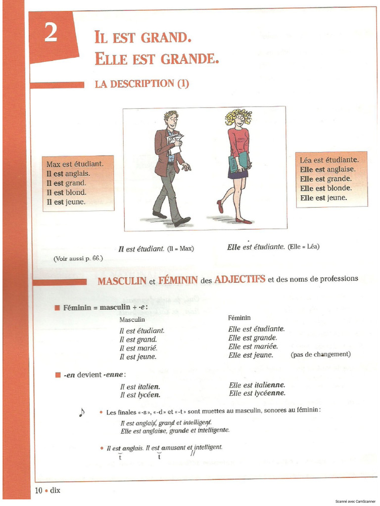 Grammaire Progressive Du Français Niveau Débutant. | PDF