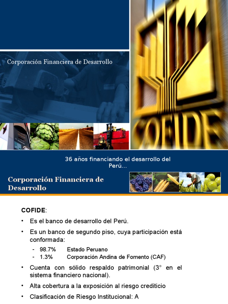 Presentacion Cofide - Pfe | PDF | Calidad (comercial) | Mercado (economía)