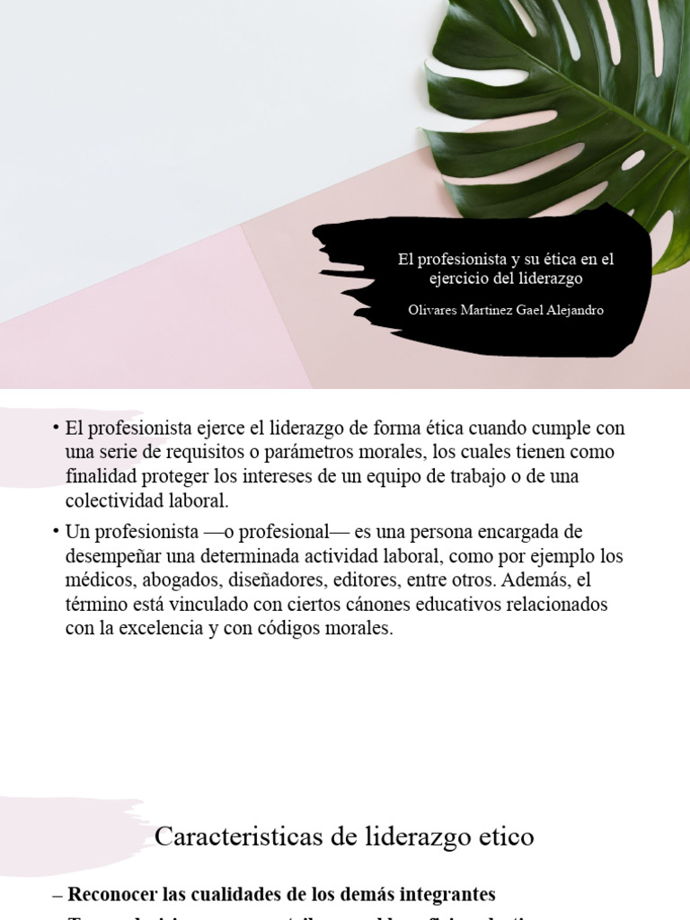 El Profesionista y Su Etica en Ejercicio Del Liderazgo | PDF