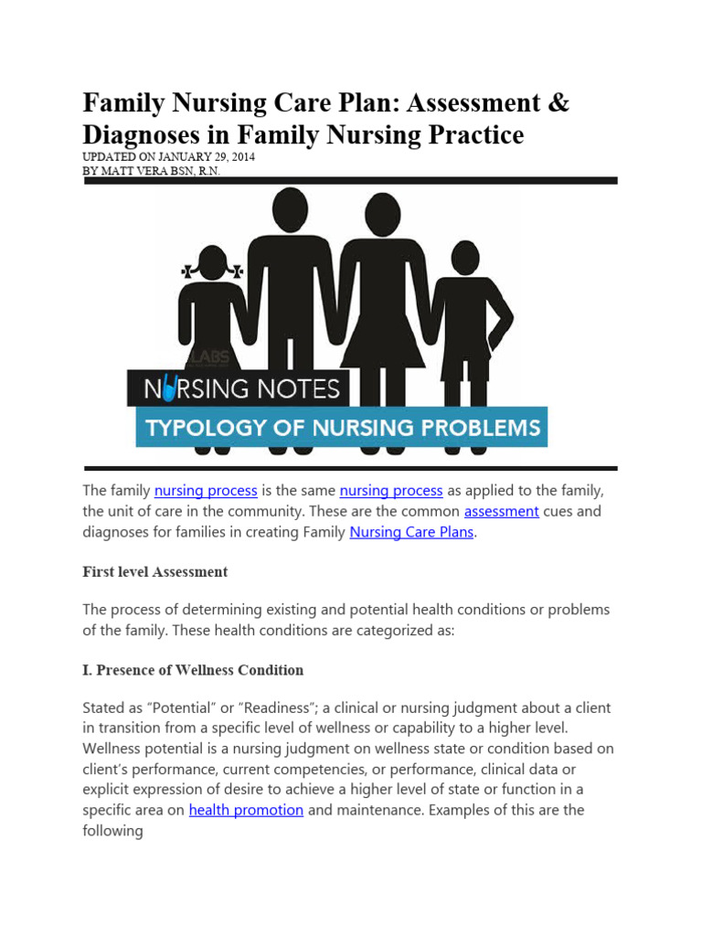 Family Nursing Care Plan Assessment Guide | PDF | Nursing | Sanitation