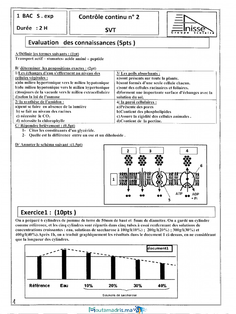 Devoir SVT 1bac SX International FR s1 6 | PDF