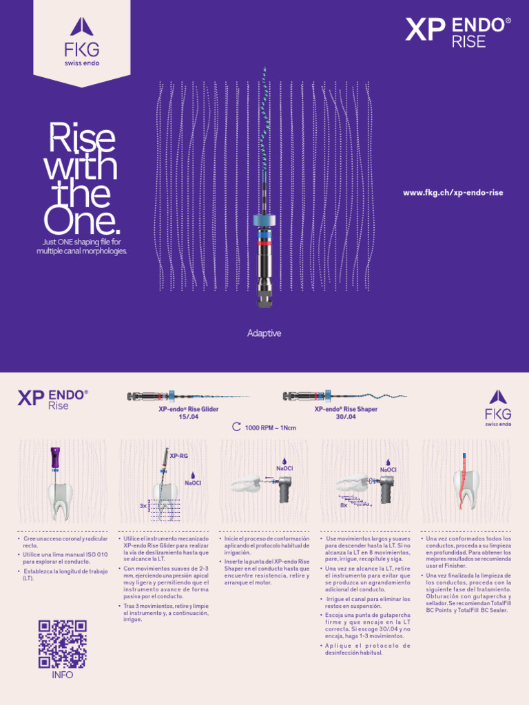 FKG_XP-endo Rise Sequence_Protocol card_ES_WEB_202208 | PDF