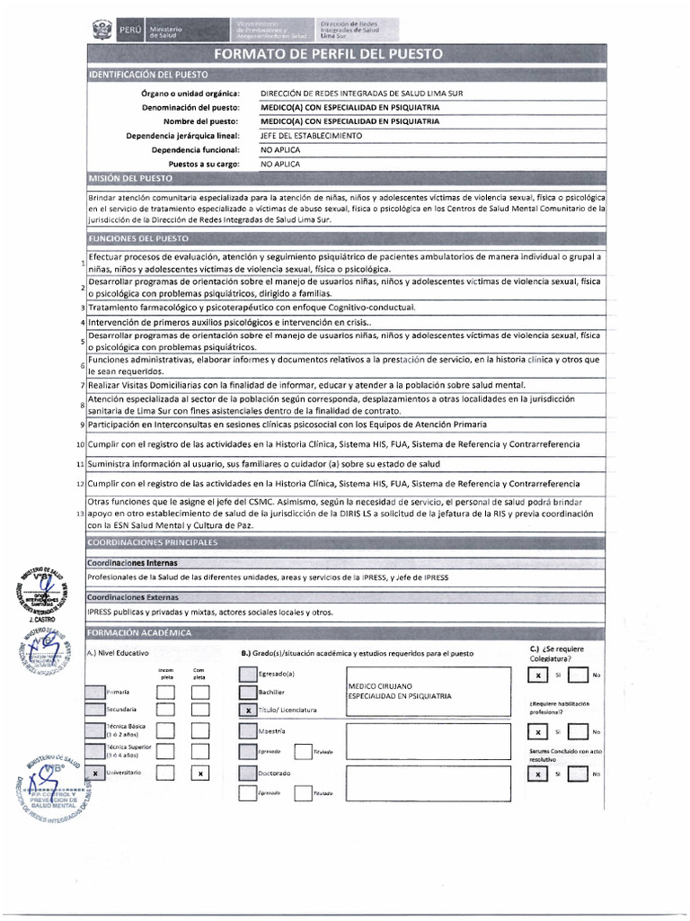 Formato de Perfil de Puesto | PDF