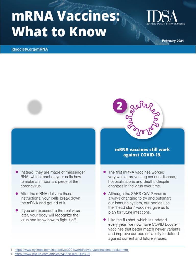 mrna-fact-sheet-2024 | PDF | Vaccines | Pregnancy