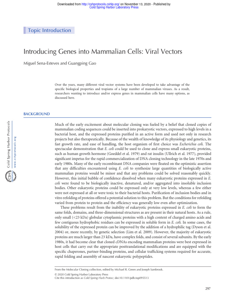Introducing Genes Into Mammalian Cells - Viral Vectors | PDF ...