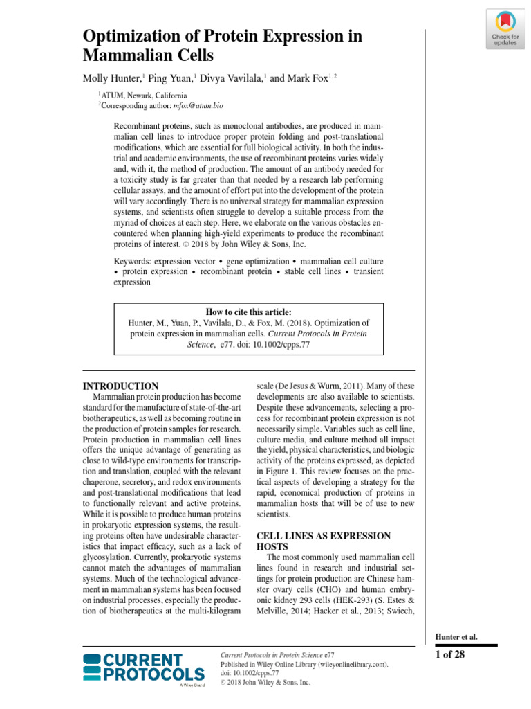 Optimization of Protein Expression in Mammalian Cells | PDF | Hek 293 ...