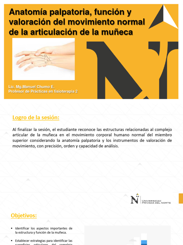 Anat. Palp. Func. y Val. Muñeca Pract - Fisiot | PDF | Articulación | Síndrome del túnel carpiano