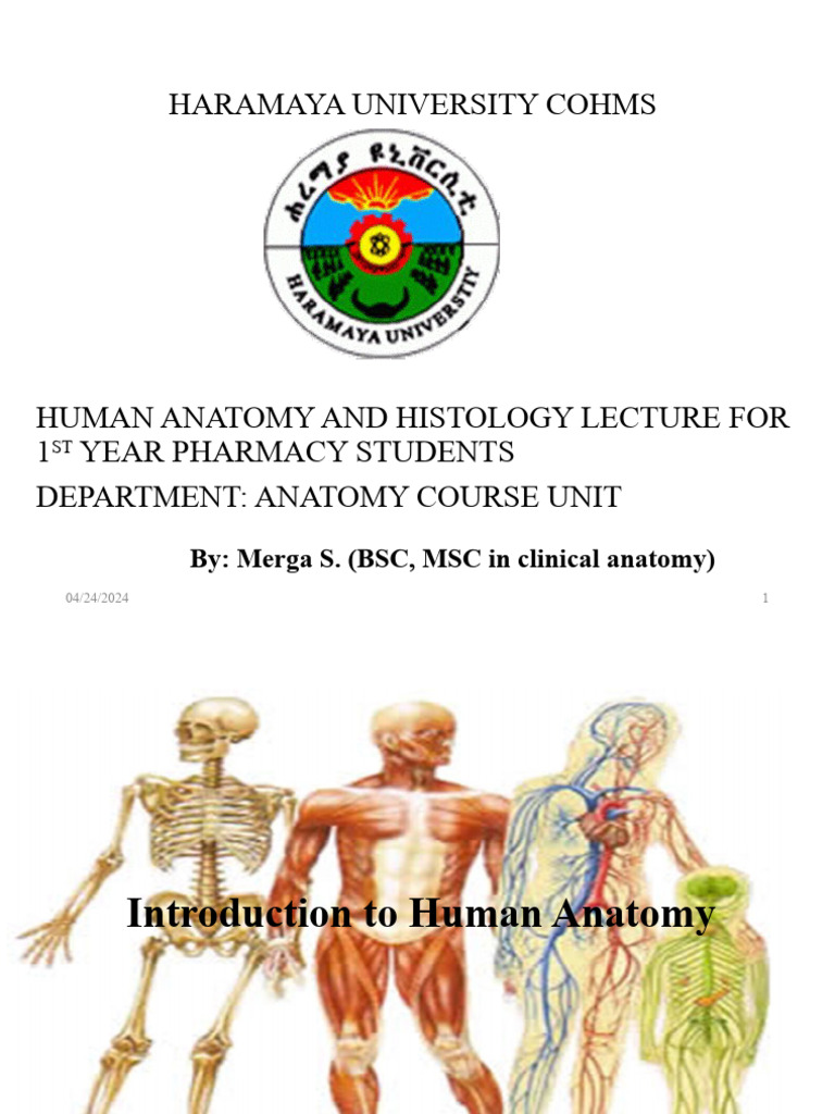 Human Anatomy Lecture for Pharmacy Students | PDF | Anatomical Terms Of ...