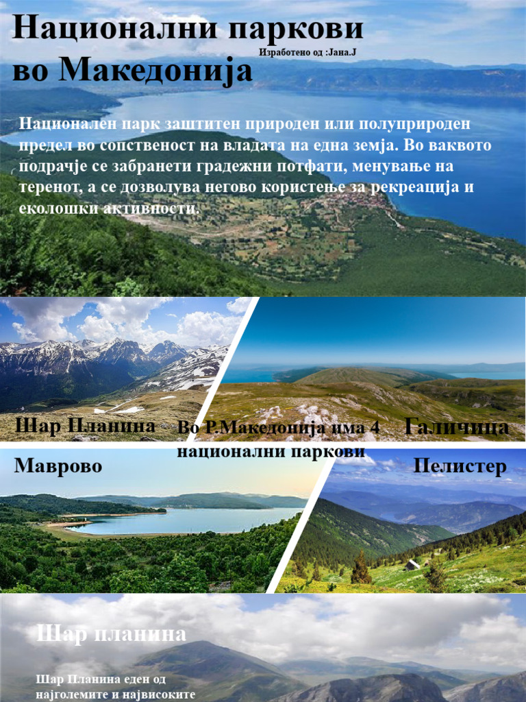 Presentation 7 | PDF