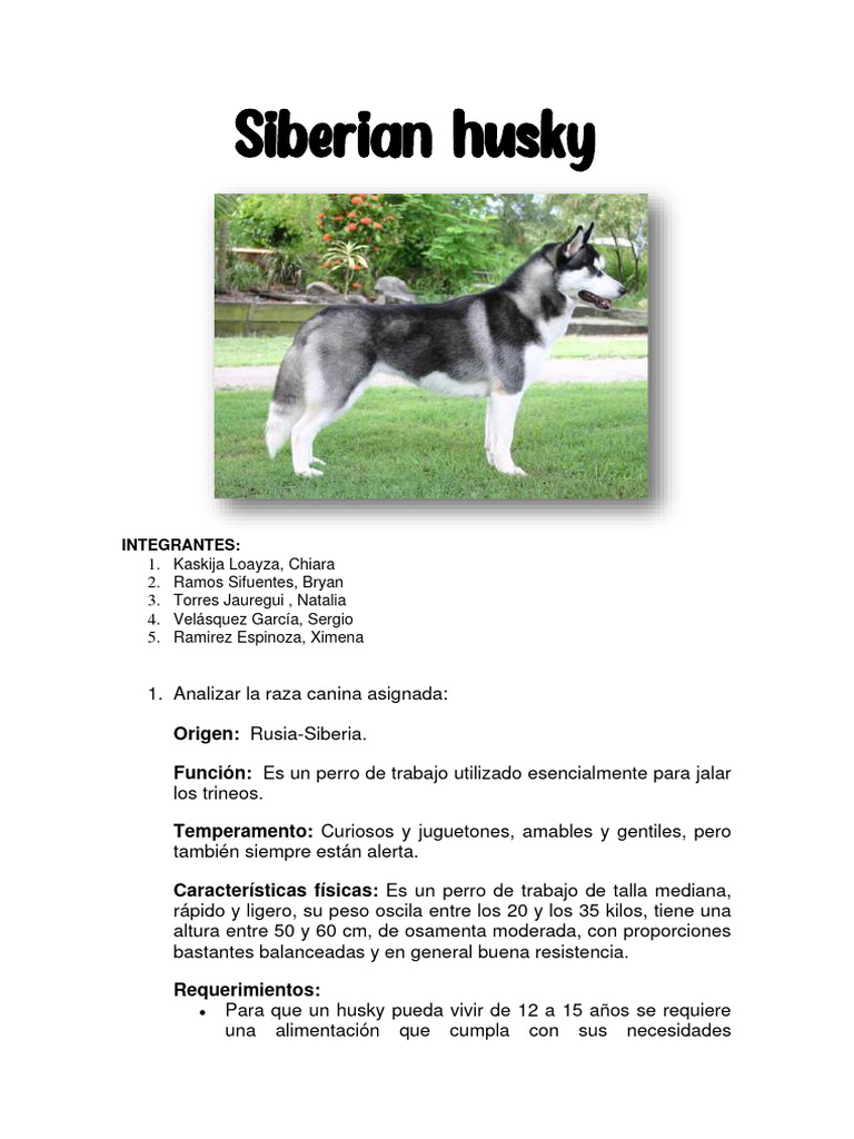 Práctica 2 - Etología | PDF | Cria de perros | Perros