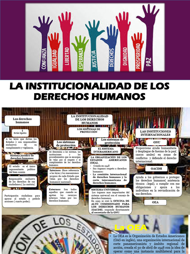 La Institucionalidad de Los | PDF | Derechos humanos | Naciones Unidas