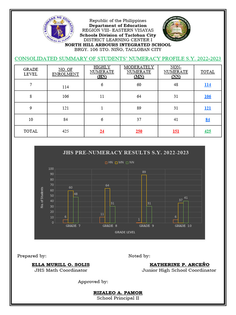 Students' Numeracy Profile Summary 2022-2023 | PDF