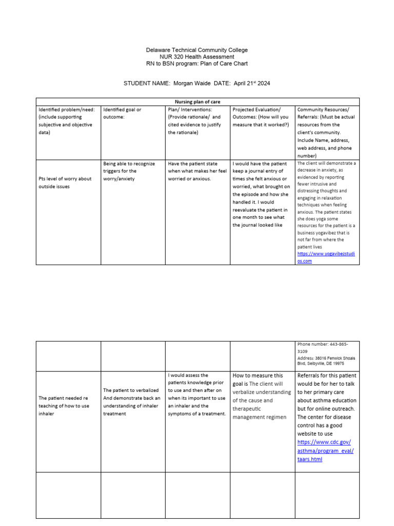 Nursing Plan of Care - Final | PDF | Anxiety | Nursing