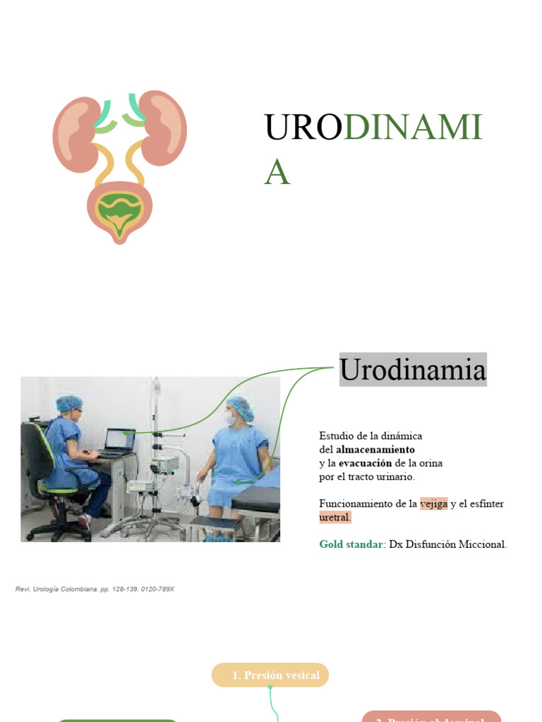 Urodinamia 2024 | PDF | Sistema urinario | Enfermedades y trastornos