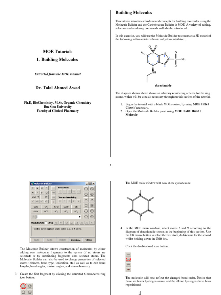 MOE - Building Molecules Tutorial | PDF | Functional Group | Molecules