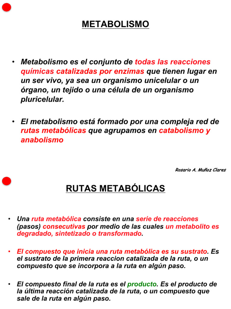 Introducción Al Metabolismo | Descargar gratis PDF | Metabolismo | Enzima Introducción Al Metabolismo | Descargar gratis PDF | Metabolismo | Enzima