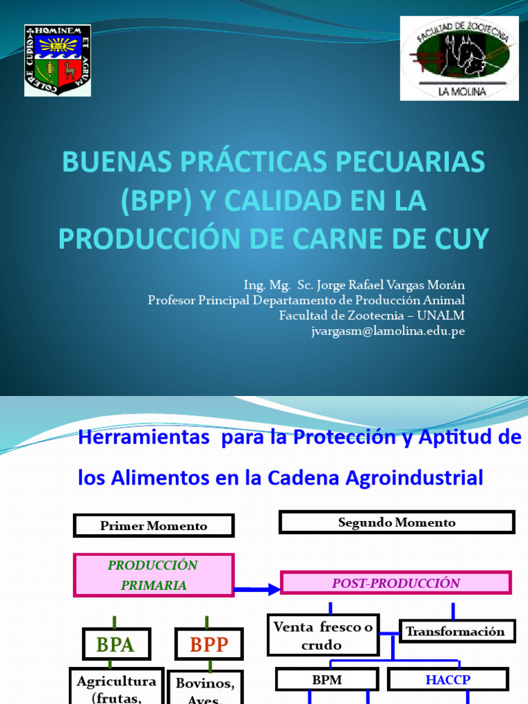 1 Buenas Prácticas Pecuarias (BPP) Cuyes | PDF | Carne | Seguridad y salud ocupacional