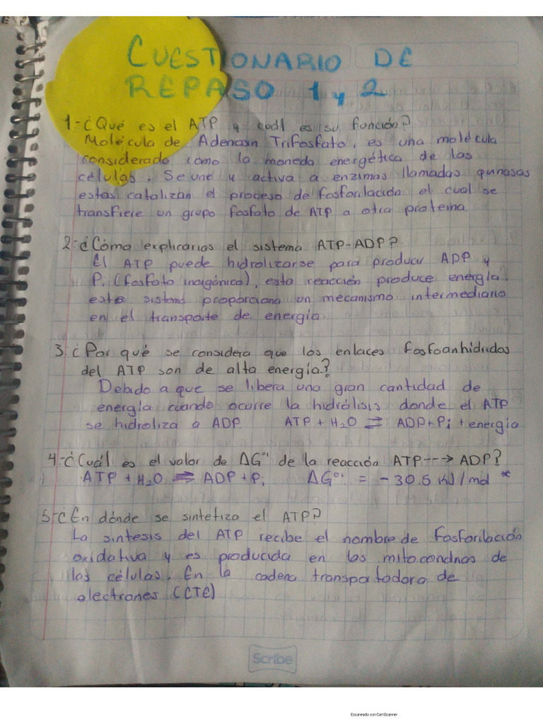 Cuestionario de Repaso 1 y 2 | PDF