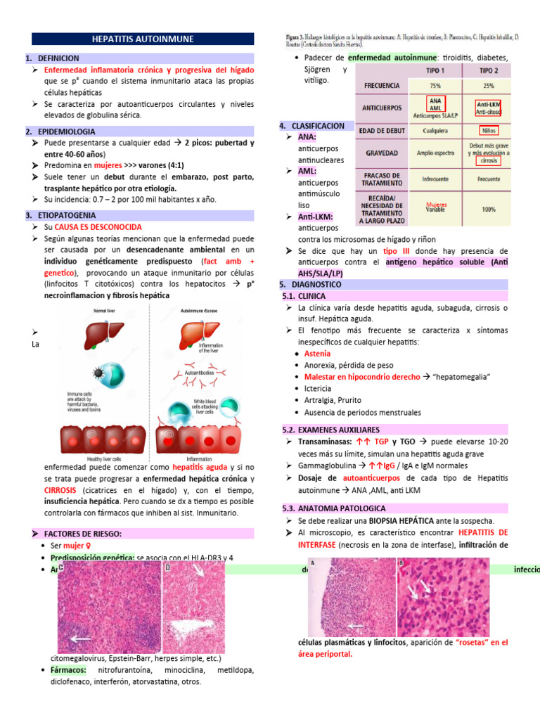 Hepatitis Autoinmune | PDF | Hepatitis | Causas de la muerte