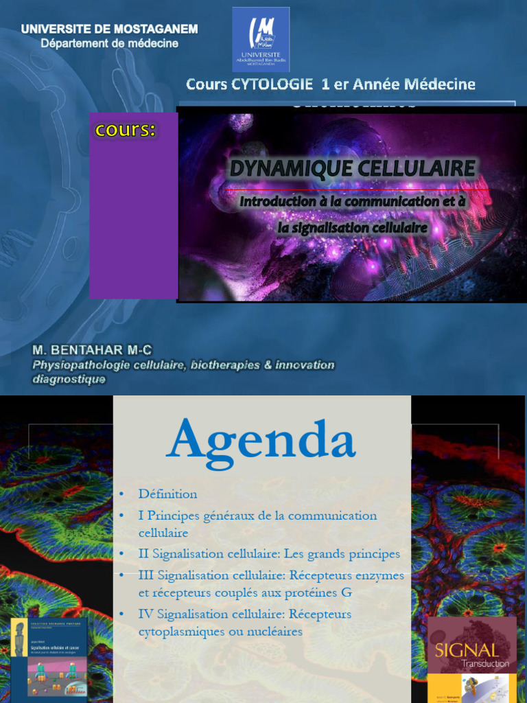 Introduction à la signalisation cellulaire | PDF | Signalisation ...