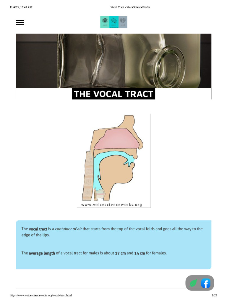 Vocal Tract Anatomy & Function Guide | PDF | Larynx | Tongue