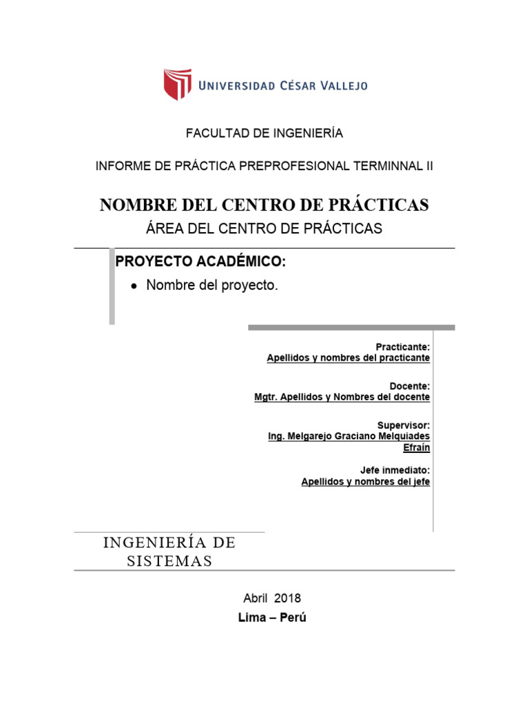Formato de la Estructura del Informe Final de Prácticas Preprofesionales. | PDF | Business