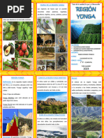 TABLAZOS | PDF | Perú | Geología