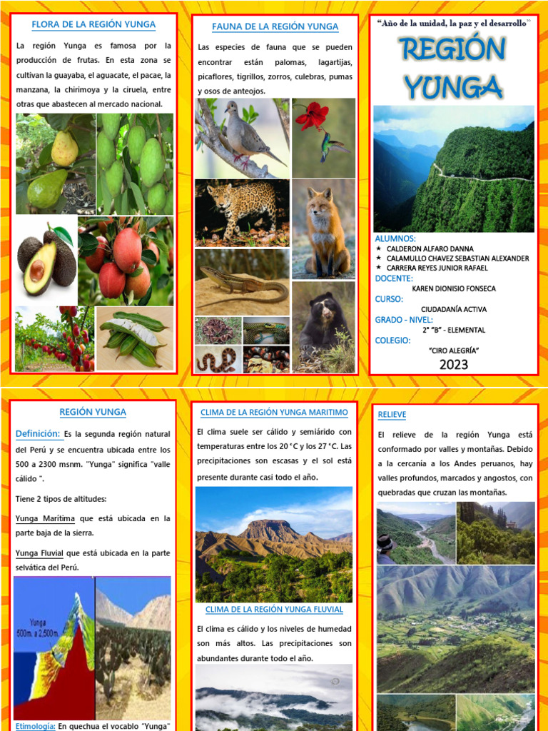 Region Yunga - Segundo | PDF | Geografía Física | Ciencias de la Tierra