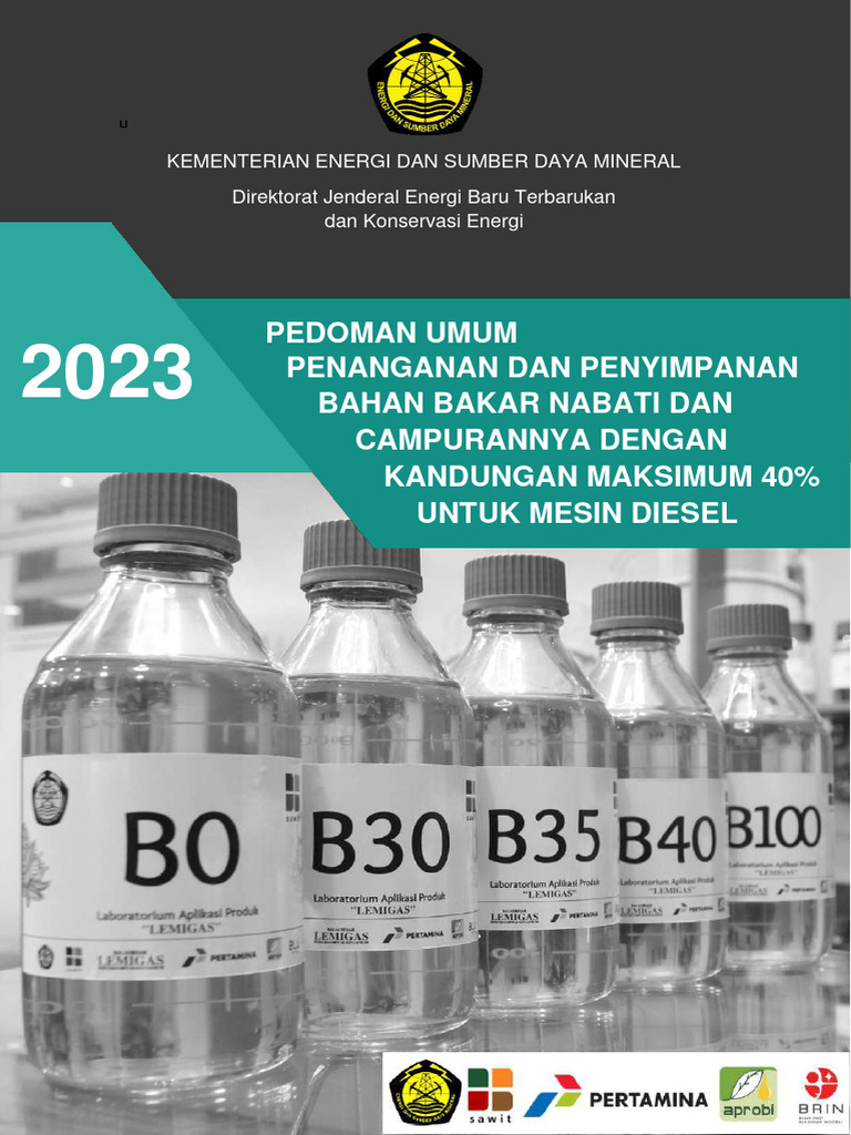 Buku Pedoman B40 ESDM | PDF
