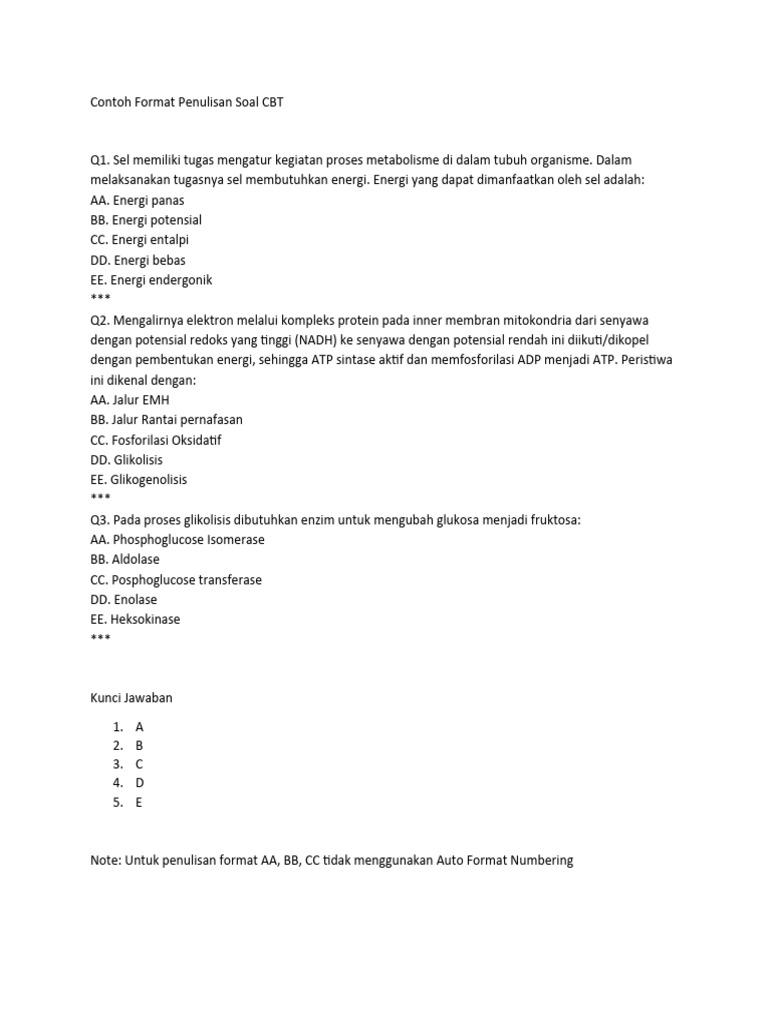 Contoh Format Penulisan Soal CBT | PDF