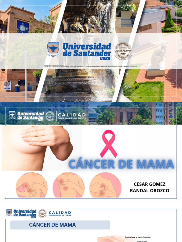 Ca Mama | PDF | Cáncer de mama | Cáncer