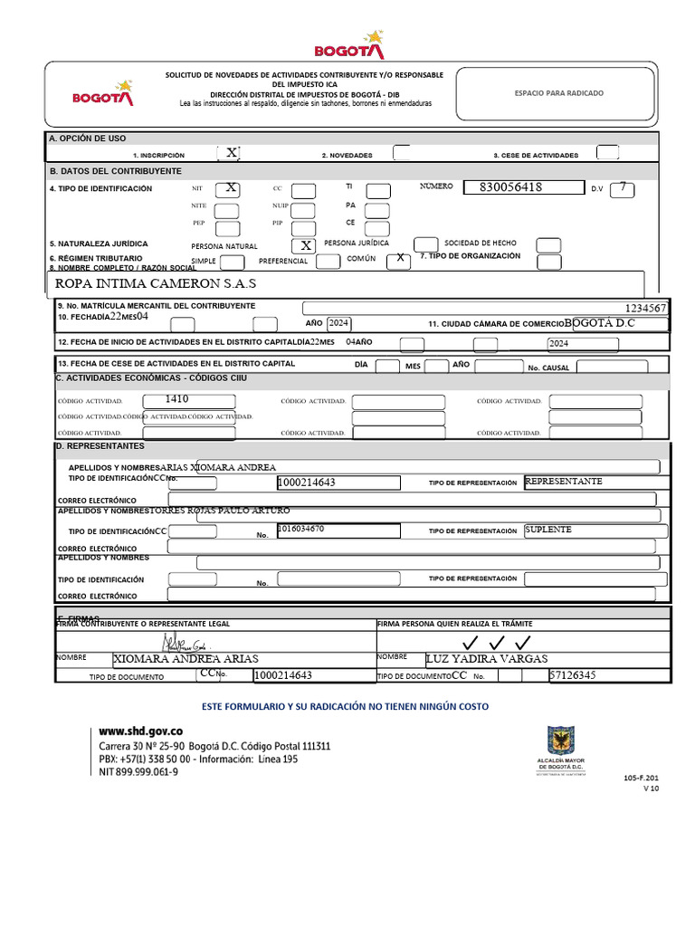 Formato Del Rit | PDF | Documento de identidad | Contribuyente