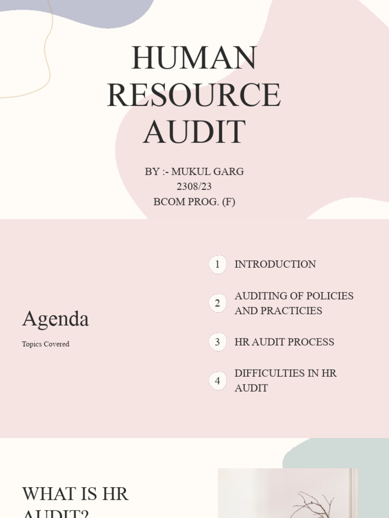 Human Resource Audit | PDF | Audit | Policy