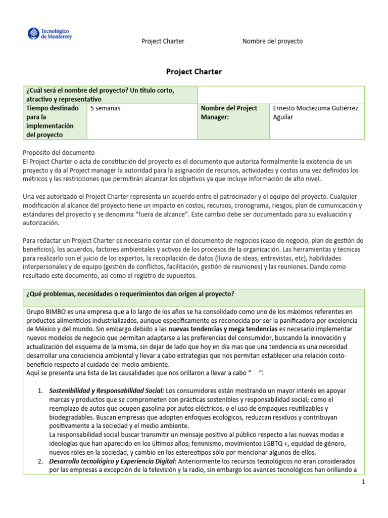 Project Charter Esp | PDF | Business | Cliente