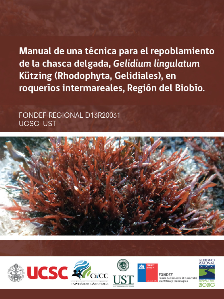 Repoblamiento de Gelidium en Biobío | PDF | Reproducción | Espora