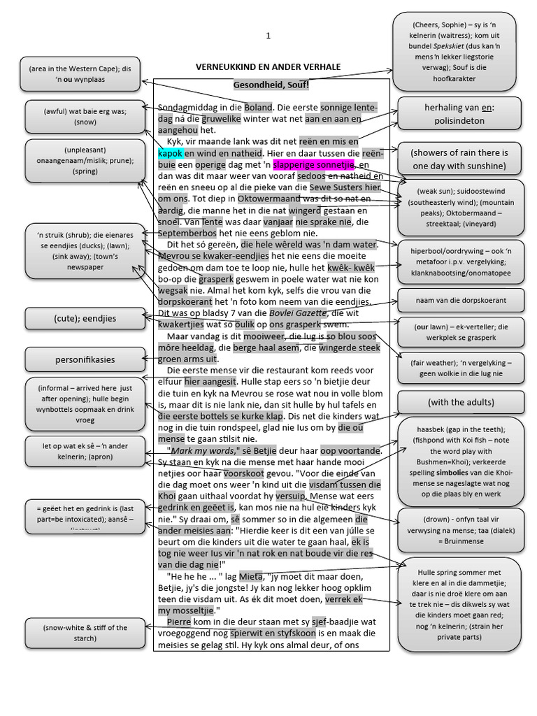 Gesondheid Souf! | PDF