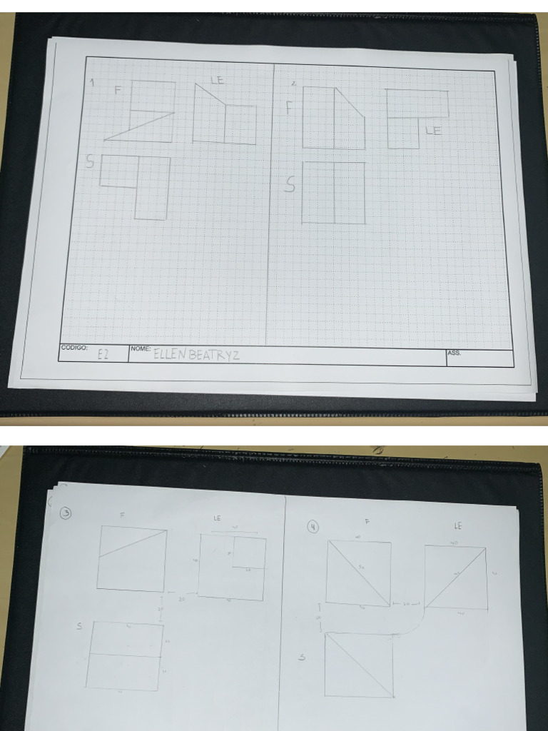 S02 - E2-Ellen Beatryz Maria Silva Lago | PDF