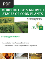 Understanding the Zadoks Growth Scale | PDF | Plant Morphology | Plant ...