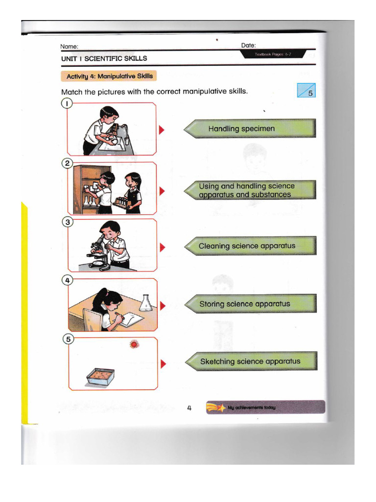 Scientific Skill Year 4 | PDF