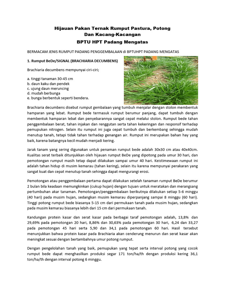 _JENIS RUMPUT HPT BPTU HPT PADANG MENGATAS | PDF