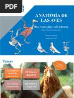 Anatomia Mosca Completa Con Imagenes | PDF