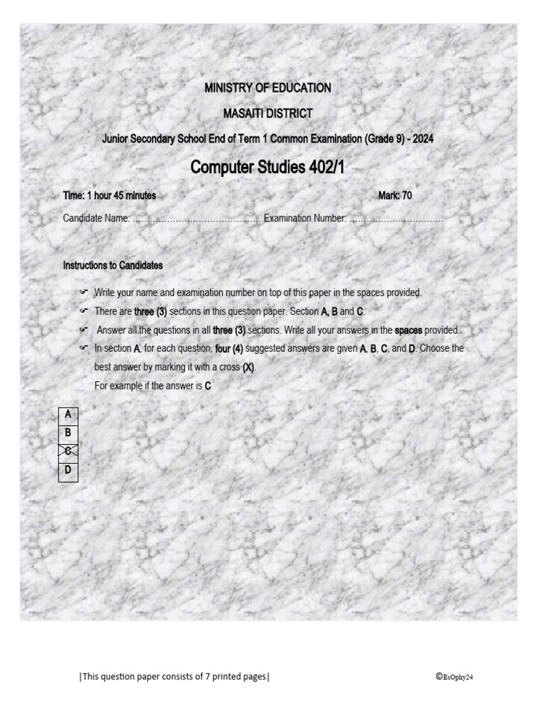 G9 Computer Studies District Common EOT | PDF | Icon (Computing) | Internet